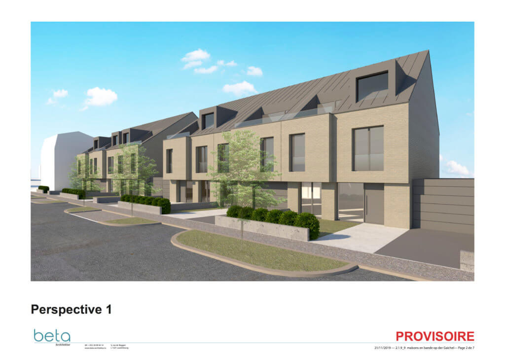 Perspective 1 - Dellizotti